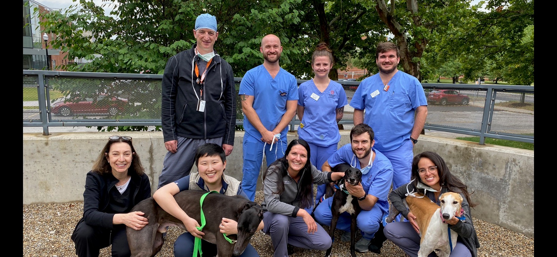 Jonathan Dyce - American College of Veterinary Surgeons